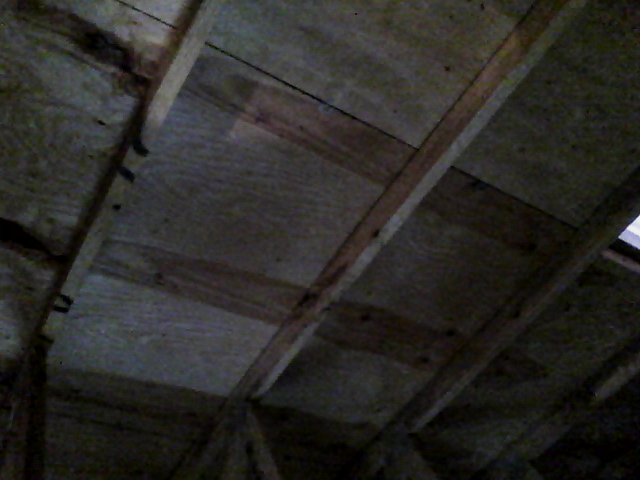 Infrared Thermography Inspection - High Tide Home Inspections