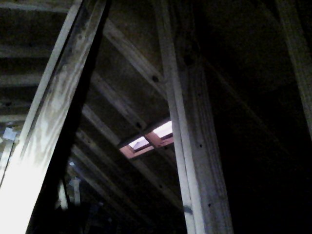 Infrared Thermography Inspection - High Tide Home Inspections